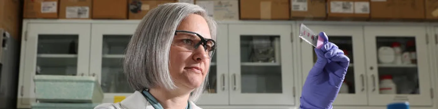 Neurosurgery | Research | University of Kentucky College of Medicine